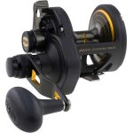 17 Best Downriggers | Electric and Manual Models